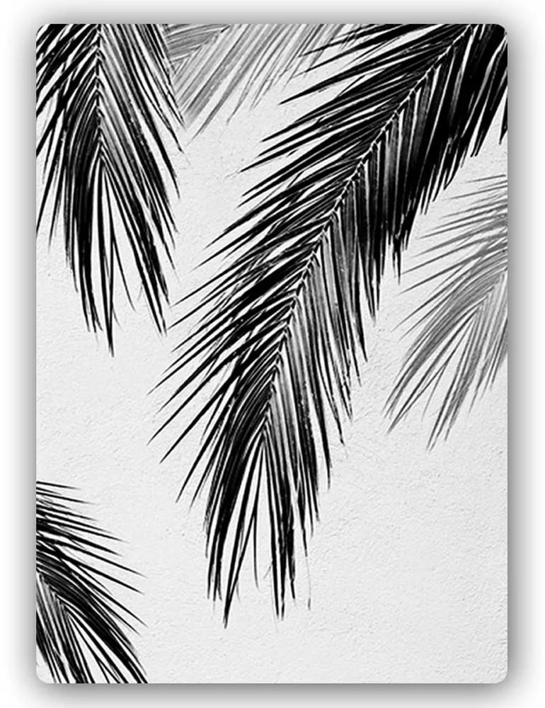 CARO Kovový obraz - Palm Leaves 40x60 cm