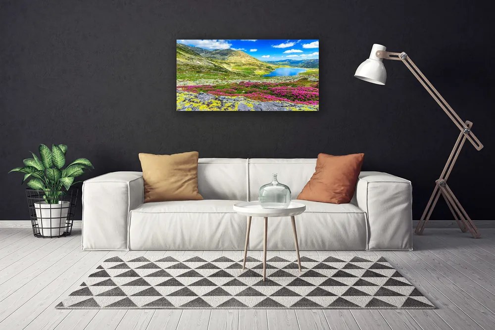 Obraz na plátně Hora Záliv Louka Příroda 120x60 cm