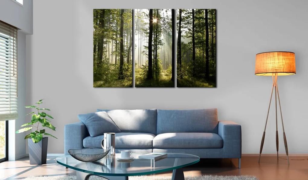 Třídílný obraz lesní kouzlo + háčky a hřebíčky ZDARMA Velikost (šířka x výška): 135x90 cm