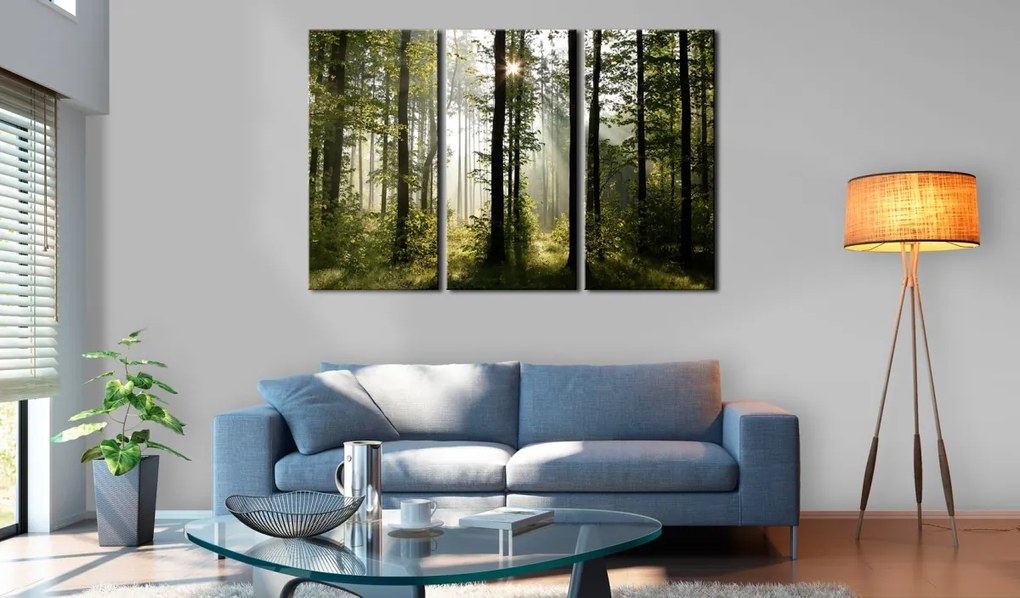 Třídílný obraz lesní kouzlo + háčky a hřebíčky ZDARMA Velikost (šířka x výška): 150x100 cm