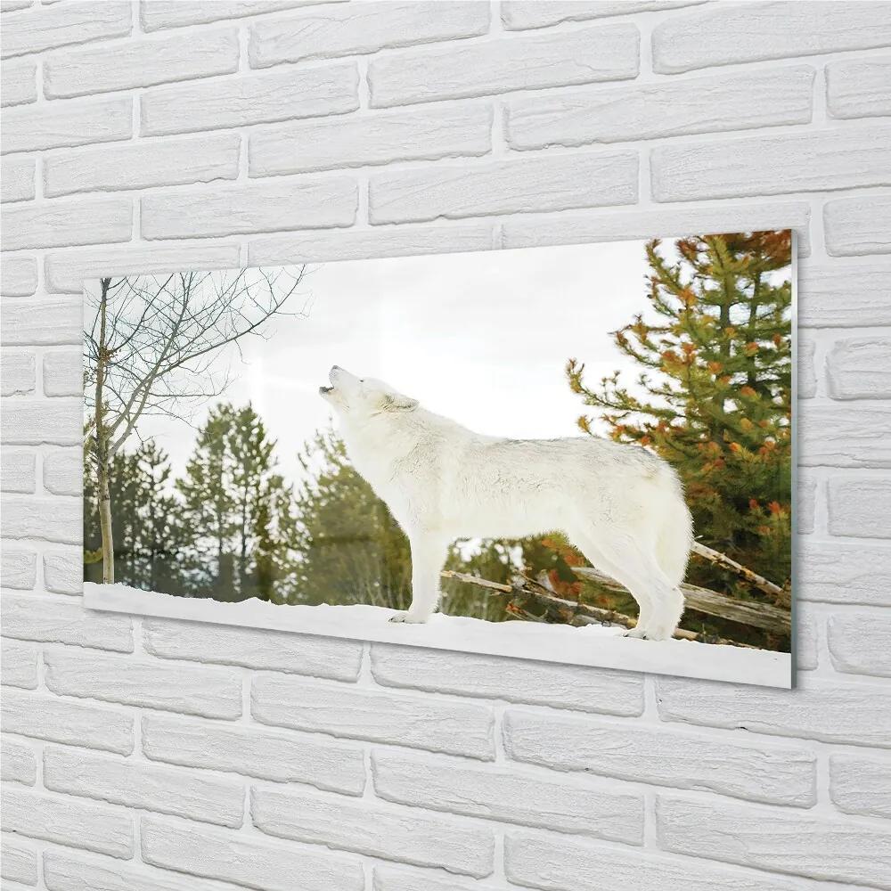 Obraz na skle Vlk v zimě lese 140x70 cm