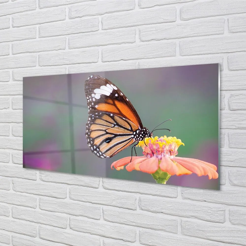 Obraz na skle Barevný motýl květina 100x50 cm