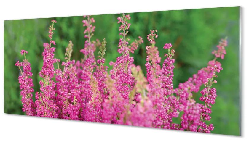 akrylový obraz květiny vřesy 120x60 cm