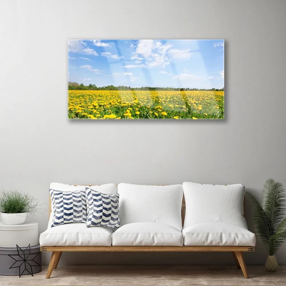 akrylový obraz Pampeliška Krajina 100x50 cm