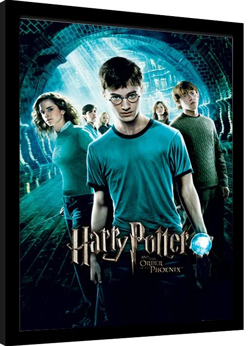 Obraz na zeď - Harry Potter - Order Of The Phoenix