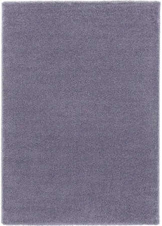 Koberce Breno Kusový koberec DOLCE VITA 01/LLL, Fialová, 140 x 200 cm