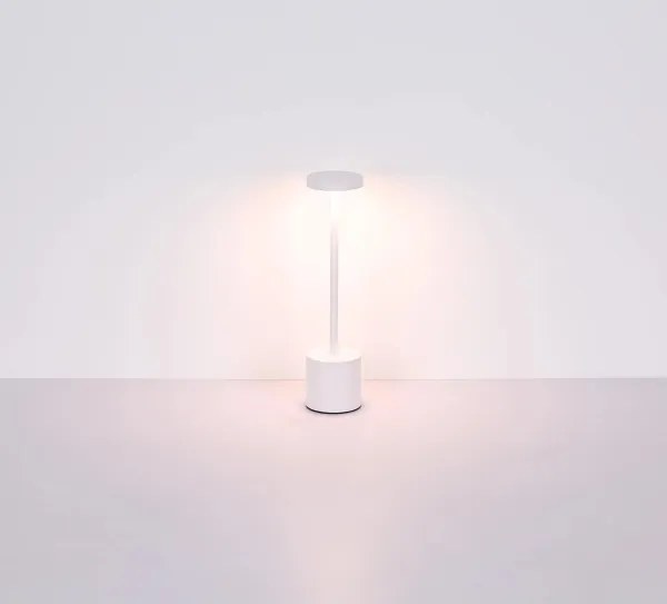 Globo 21019W - LED Stmívatelná stolní lampa POLINA LED/1,2W/3,7V
