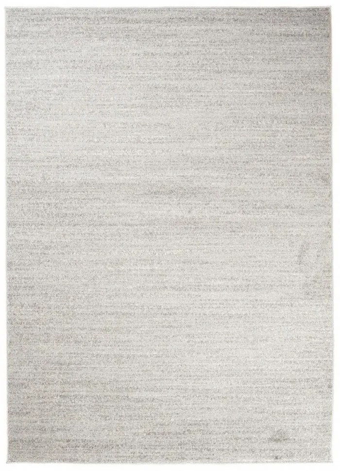 Kusový koberec Remon světle šedý 160x220cm