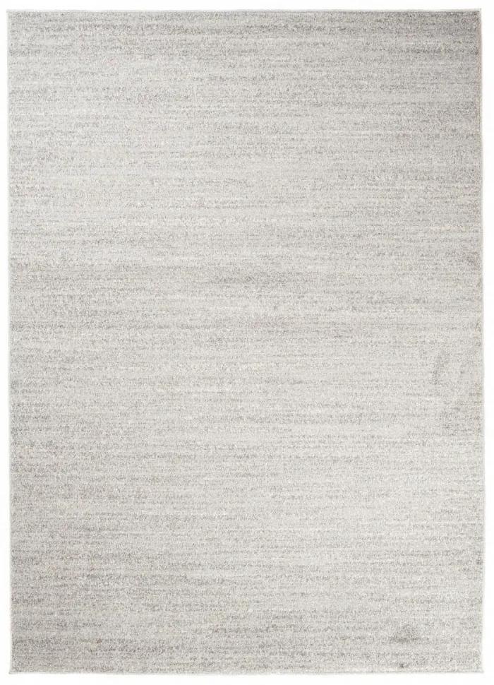 Kusový koberec Remon světle šedý 190x270cm