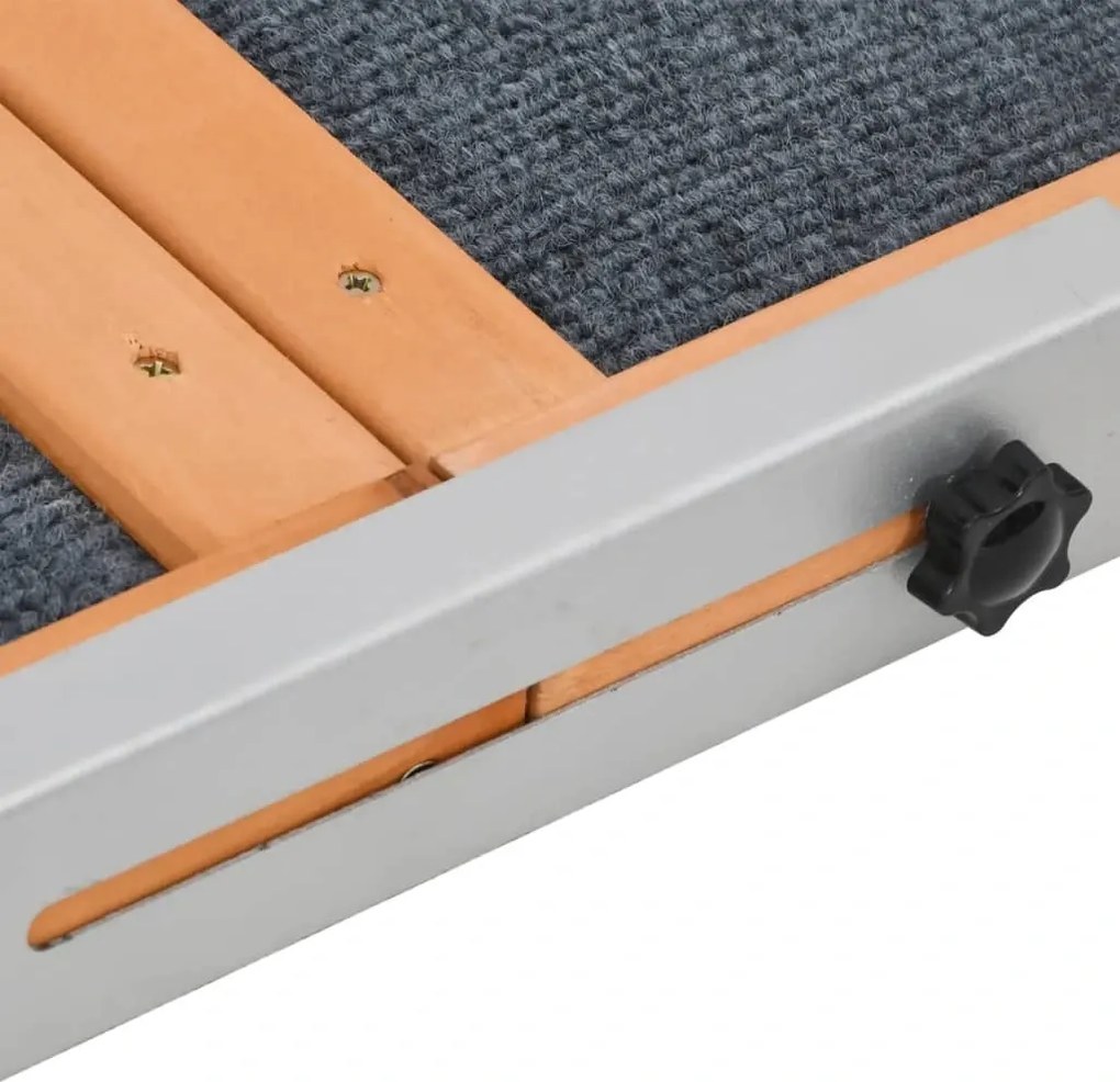 vidaXL Rampa pro psy 120 x 30 cm masivní jedlové dřevo [172419] Barva: Šedá