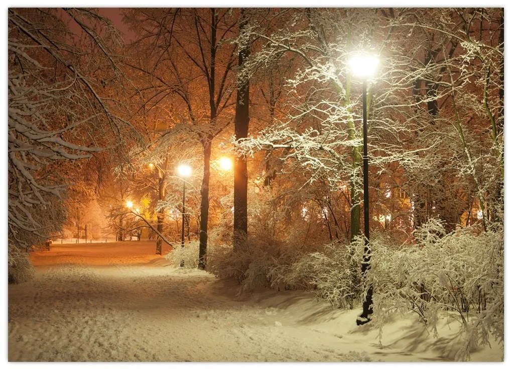 Skleněný obraz - Zasněžený park (70x50 cm)