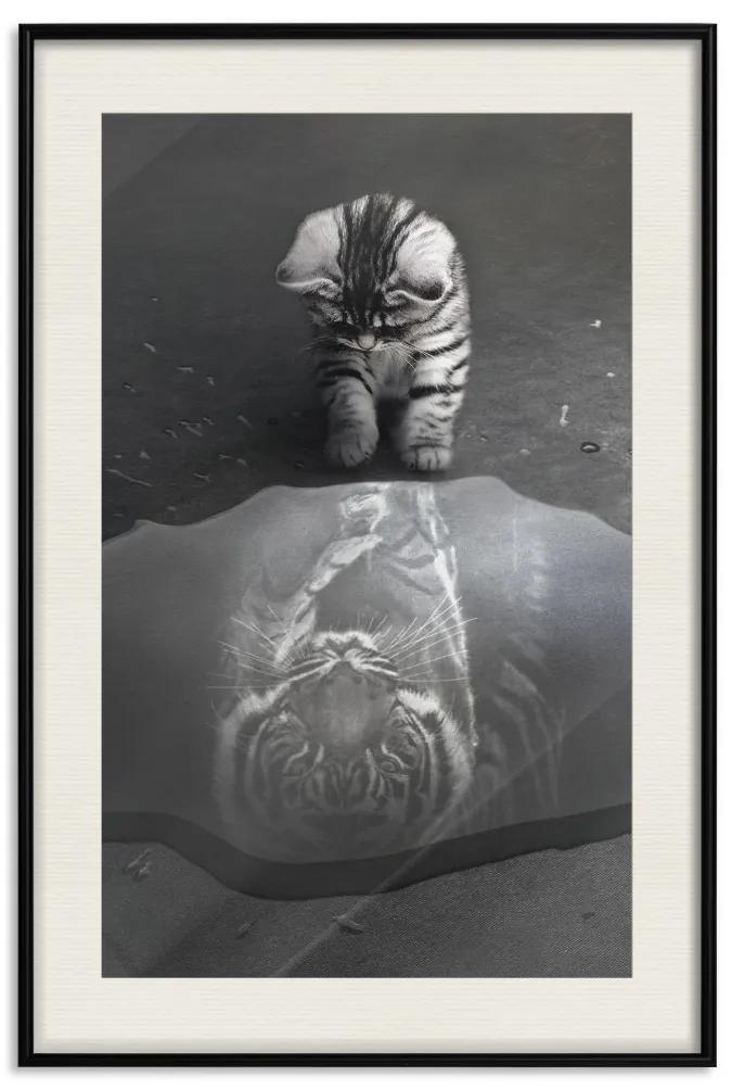 Plakát Dravé zvíře - fotografie kočky s odrazem tygra v kaluži