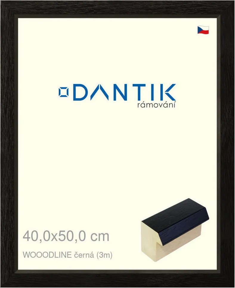 DANTIK rámeček 40x50 | WOODLINE černá (Sklo Čiré)