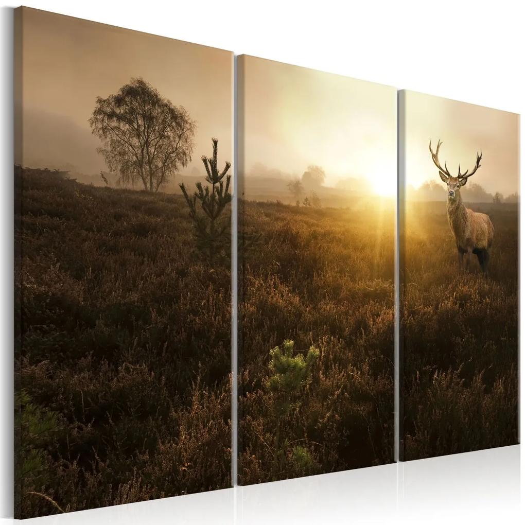 Třídílný obraz jelen + háčky a hřebíčky ZDARMA Velikost (šířka x výška): 90x60 cm