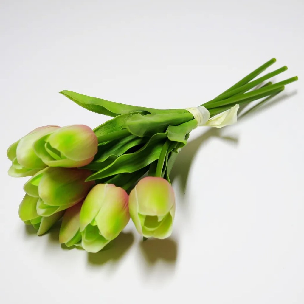 Tulipán zeleno-růžový 27cm / 7ks