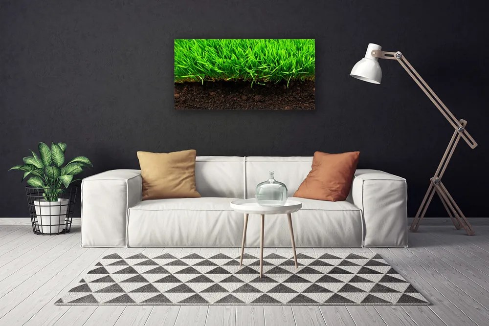 Obraz na plátně Tráva Příroda Rostlina 100x50 cm