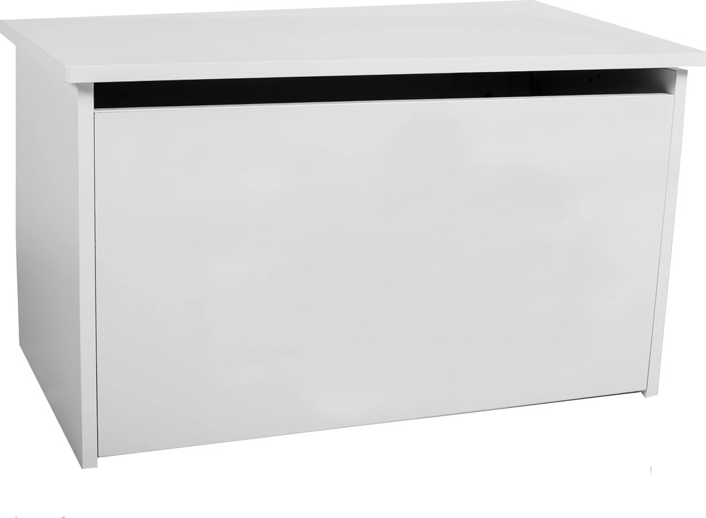ADRK Furniture Truhla na hračky DARIA TB-Dar-W-O001