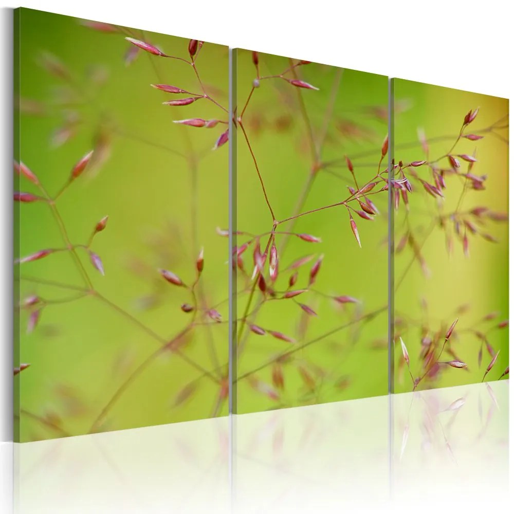 Obraz na plátně Bimago - Květinky 60x40 cm