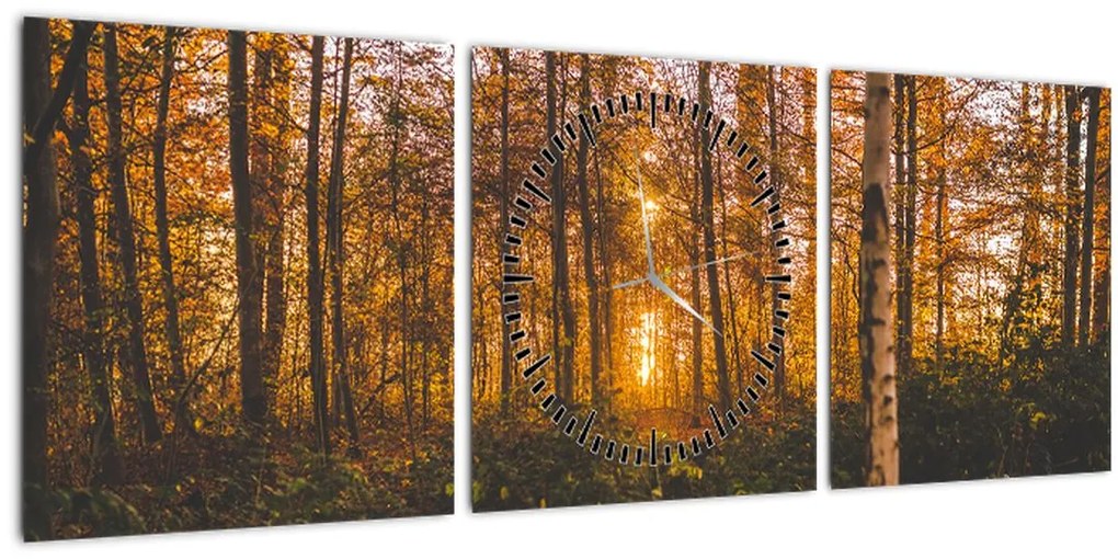 Obraz podzimního lesa (s hodinami) (90x30 cm)