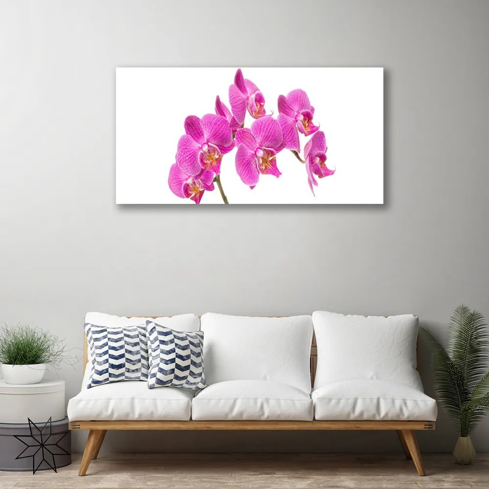 Obraz na plátně Orchidej Květiny Příroda 125x50 cm