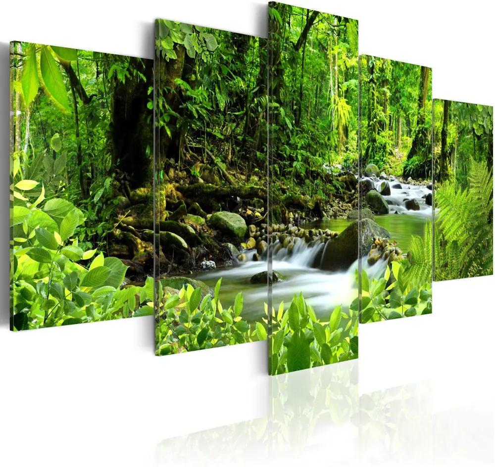Obraz na plátně Bimago - In the mighty jungle... 100x50 cm