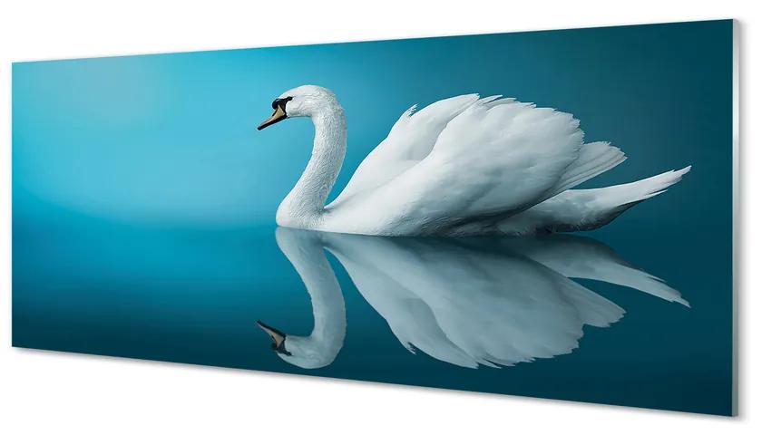 akrylový obraz Swan ve vodě 120x60 cm