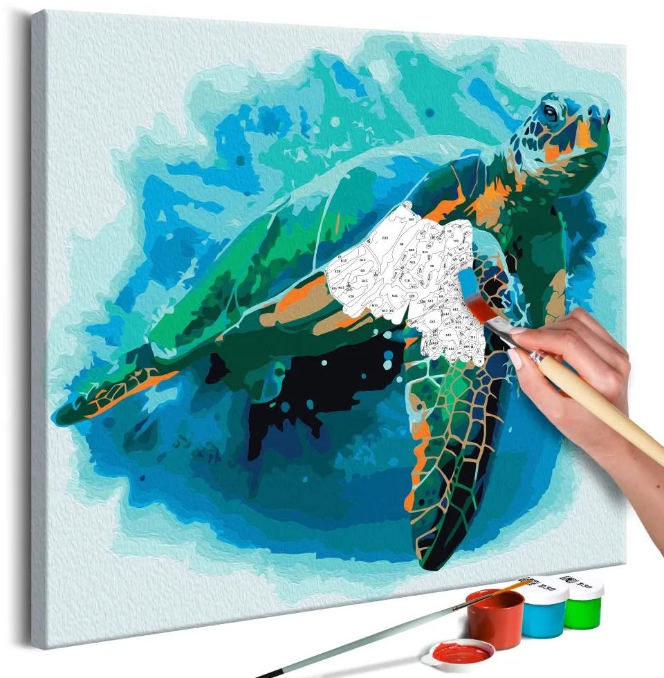 Bimago Malování podle čísel - Turtle | 40x40 cm