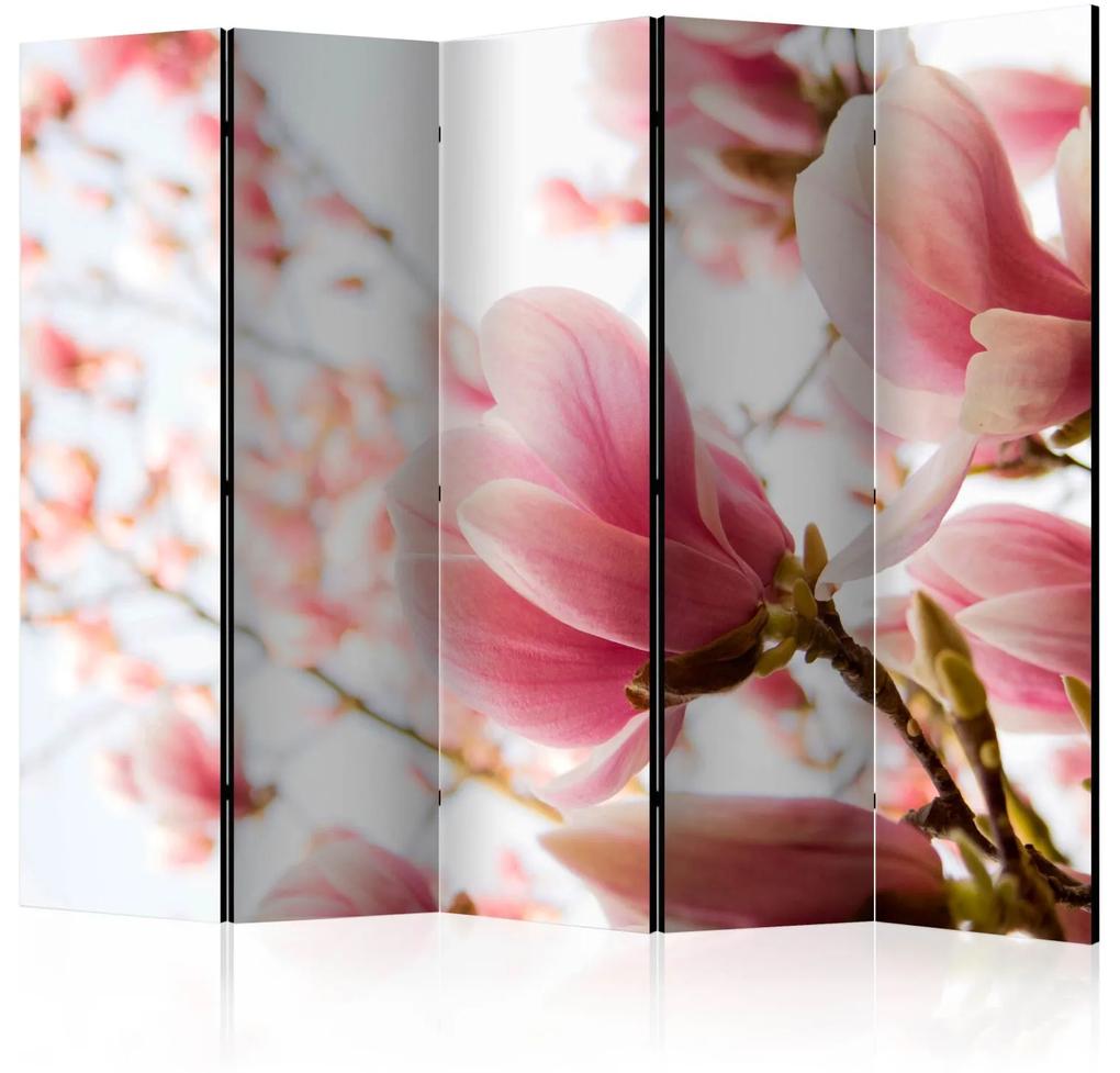 Paraván - Pink magnolia II [Room Dividers] 225x172