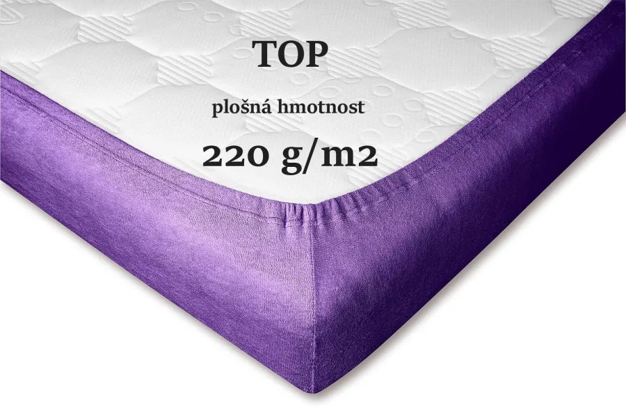 DADKA Froté prostěradlo purpur Rozměr 100x200x20