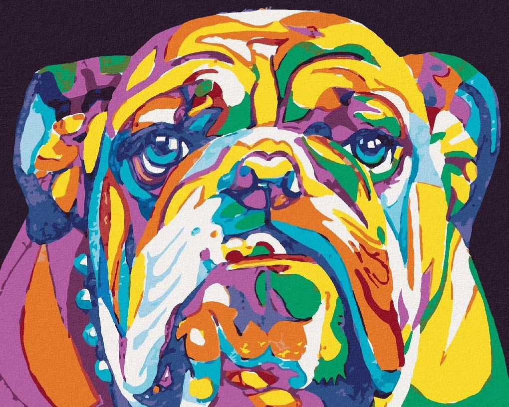 Malování podle čísel barevný bulldog, 80x100 cm, bez rámu a bez vypnutí plátna
