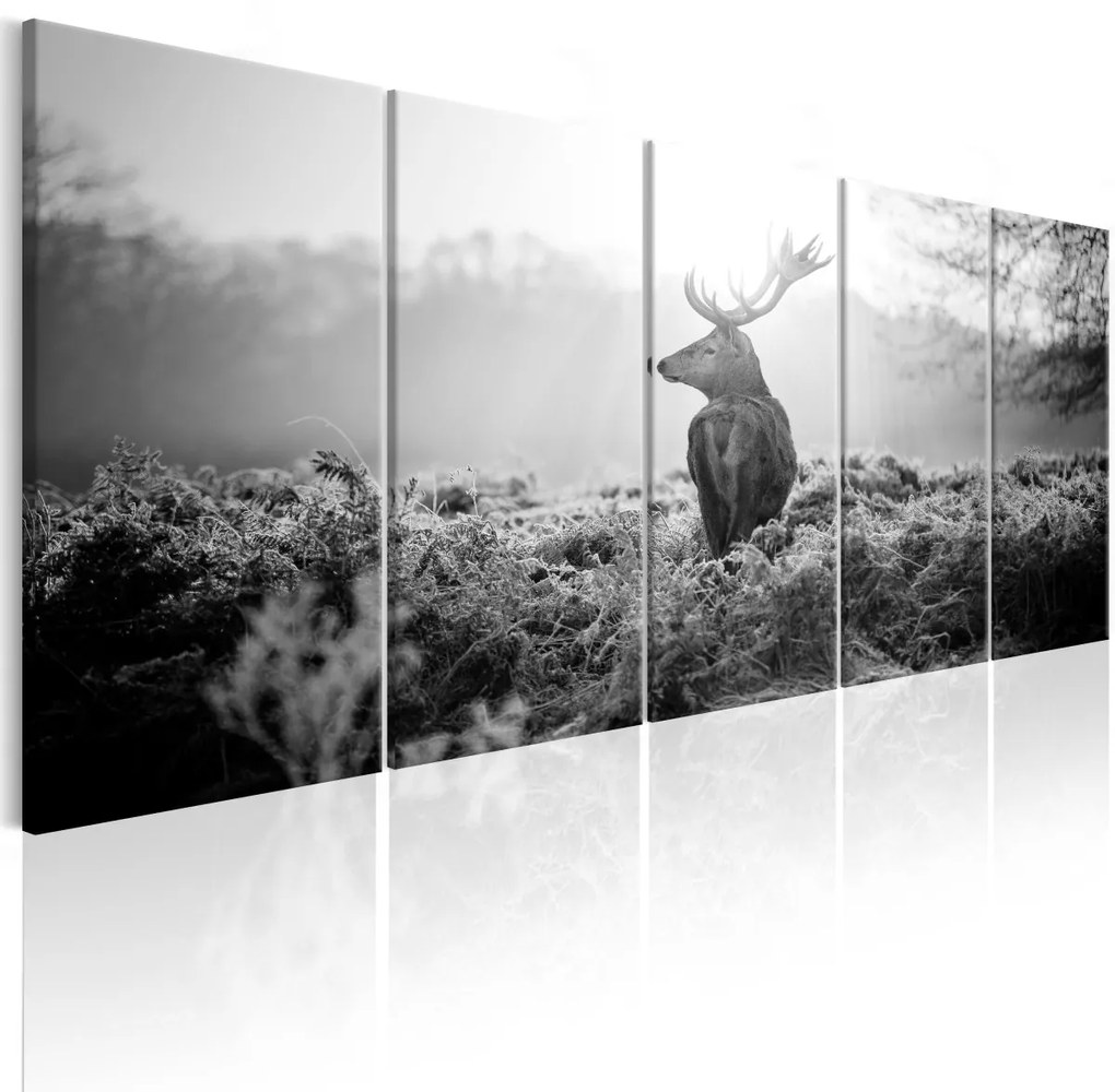 Murando DeLuxe Černobílý obraz - strážce pole Velikost: 225x90 cm