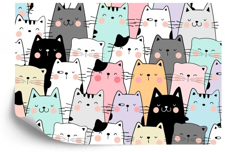 Fototapeta Barevné Kreslené Kočky Samolepící tapety 270x180