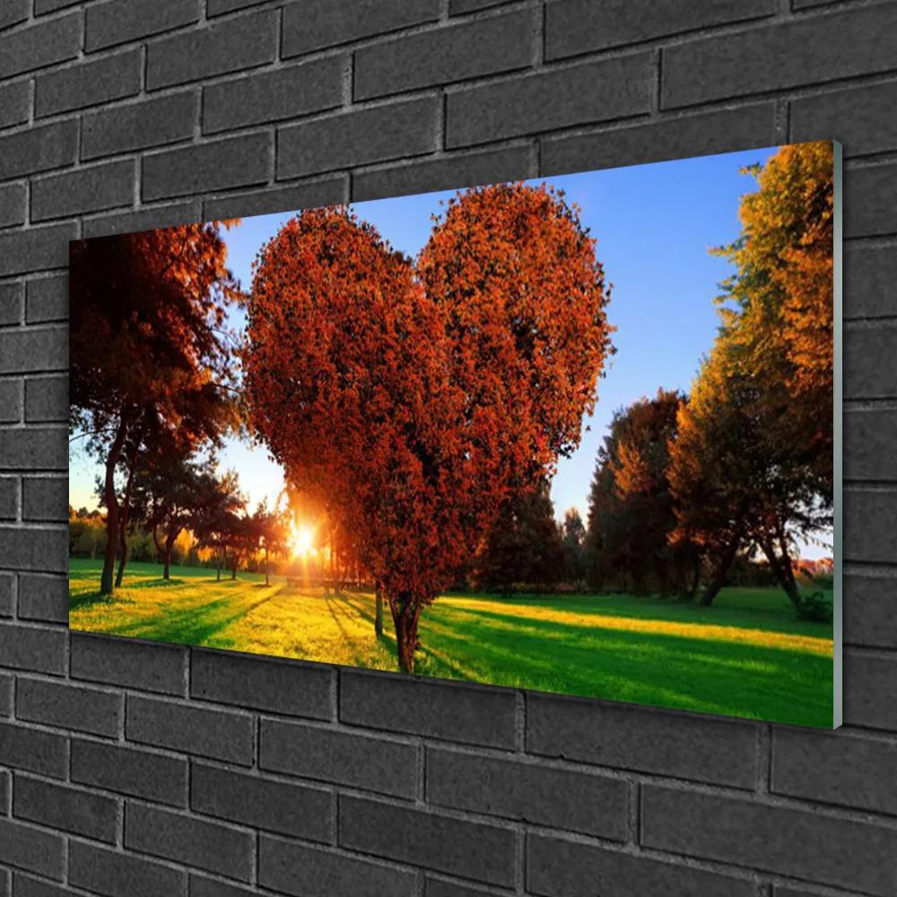 Obraz na skle Strom Srdce Přírdoa 140x70 cm