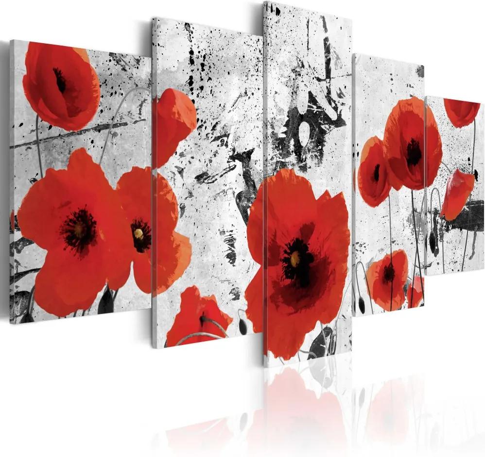 Obraz na plátně Bimago - Scarlet flowers 100x50 cm