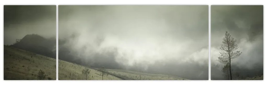 Obraz krajiny před bouři (170x50 cm)