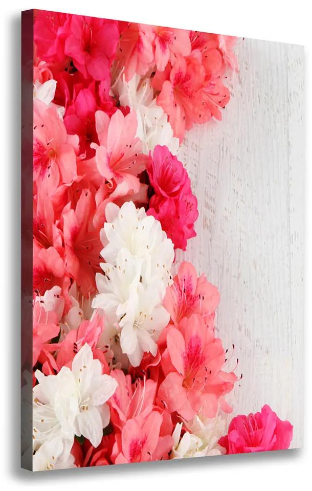 Wallmuralia Foto obraz na plátně Květy na stromě 70x100 cm