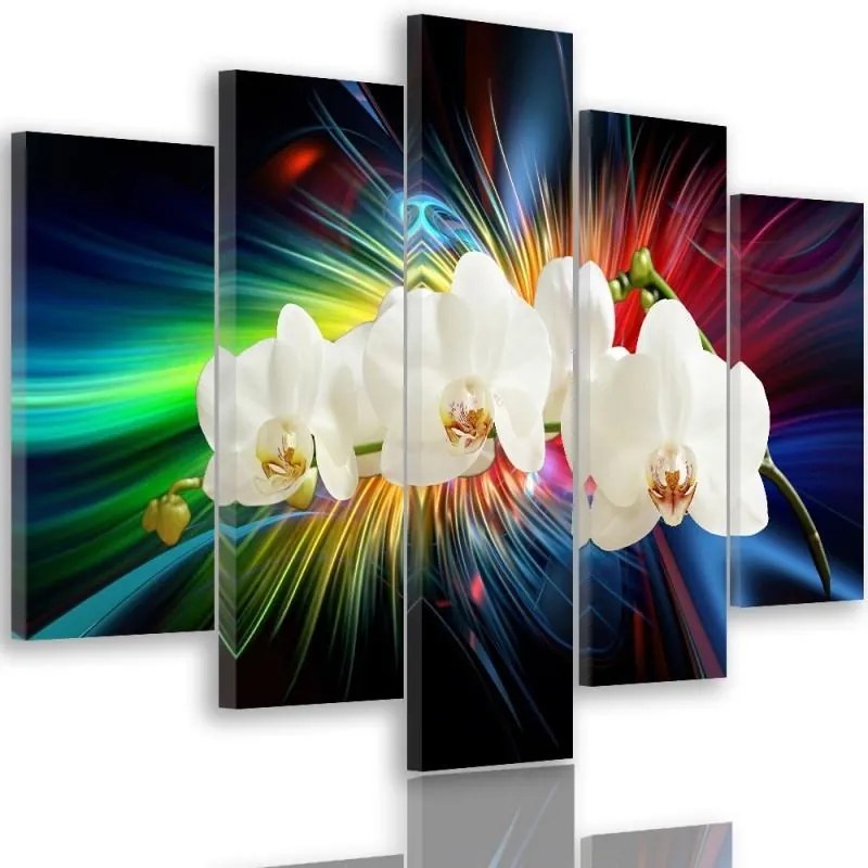CARO Obraz na plátně - White Orchid 150x100 cm