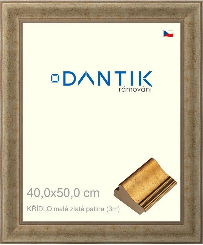 DANTIK rámeček 40x50 | KŘÍDLO malé zlaté patina (Plexi Čiré)