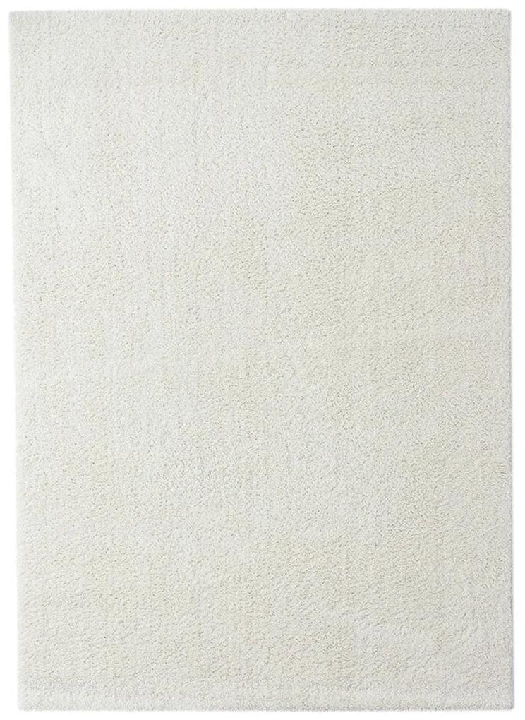 Koberce Breno Kusový koberec DOLCE VITA 01/WWW, Bílá, 120 x 170 cm