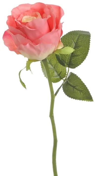 Růže růžová 31cm, květ 7cm
