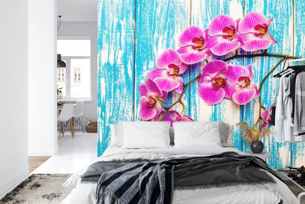 Fototapeta Orchideje Na Pozadí Desek Strukturální vinyl 360x240