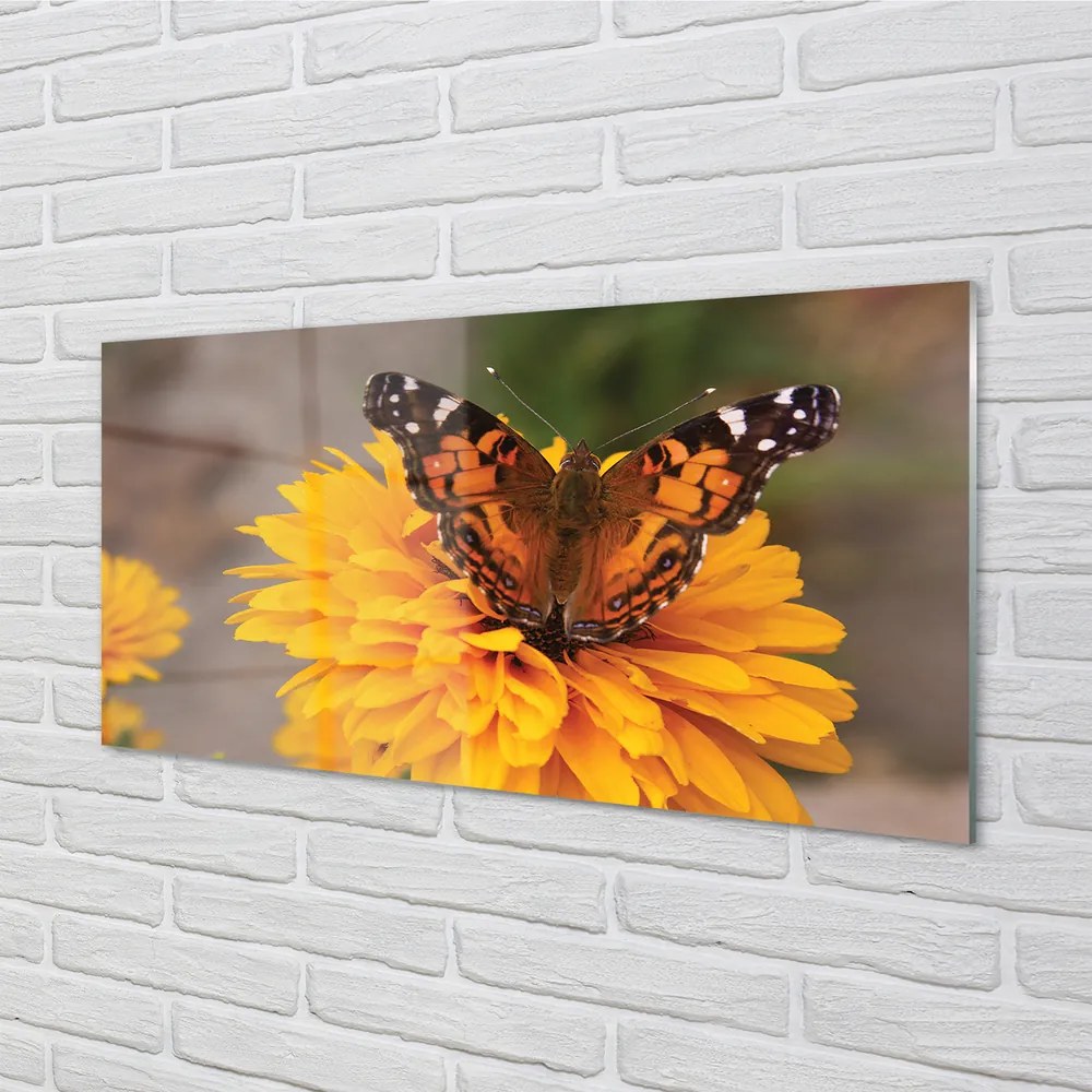 akrylový obraz Barevný motýl květina 125x50 cm