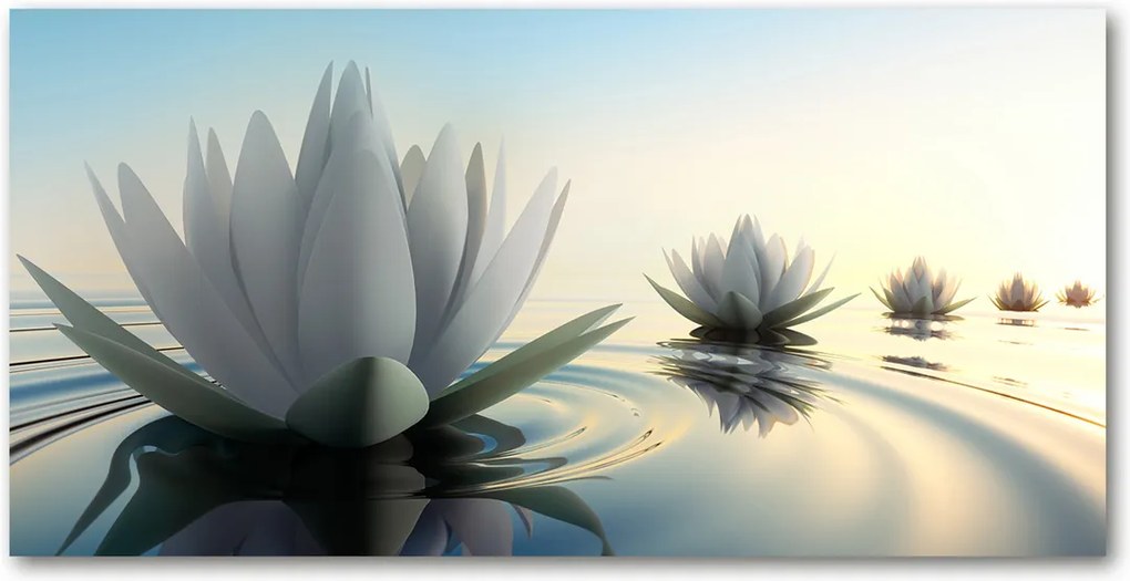 Fotoobraz na skle Květ lotosu