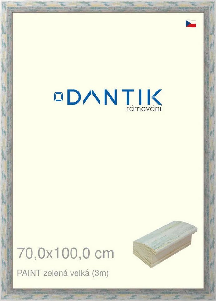 DANTIK rámeček 70x100 | PAINT zelená velká (Plexi Čiré)