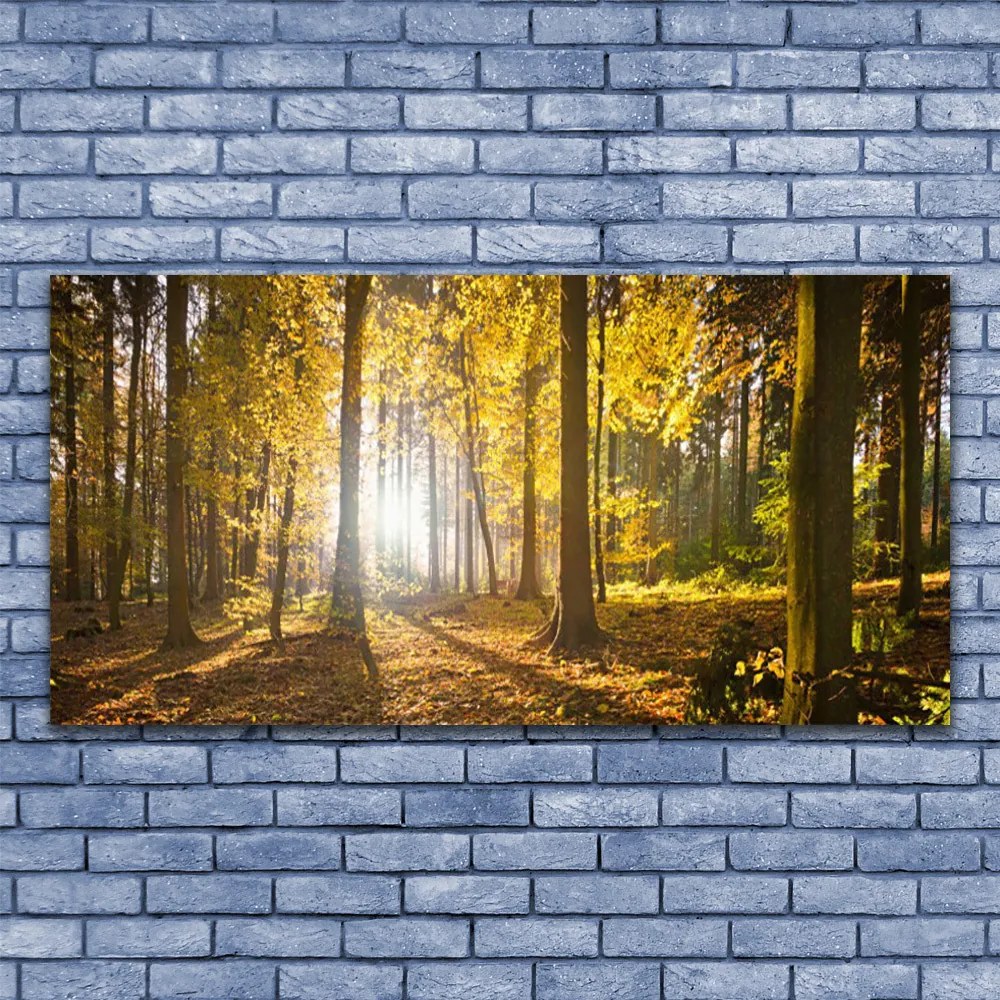 akrylový obraz Les Listy Rostlina Příroda 120x60 cm