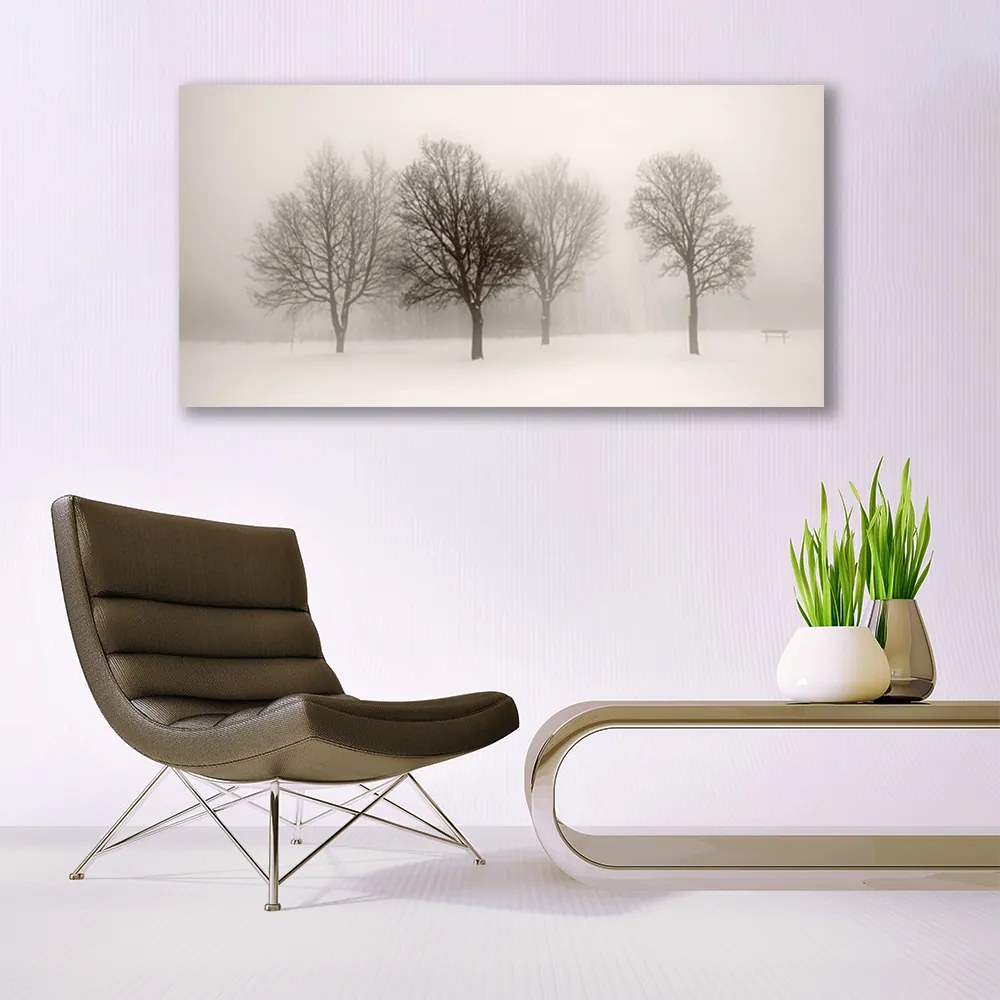 akrylový obraz Sníh Stromy Krajina 120x60 cm