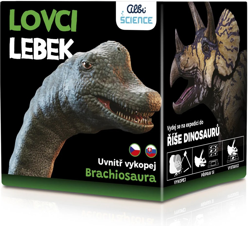 Albi lovci lebek brachiosaurus