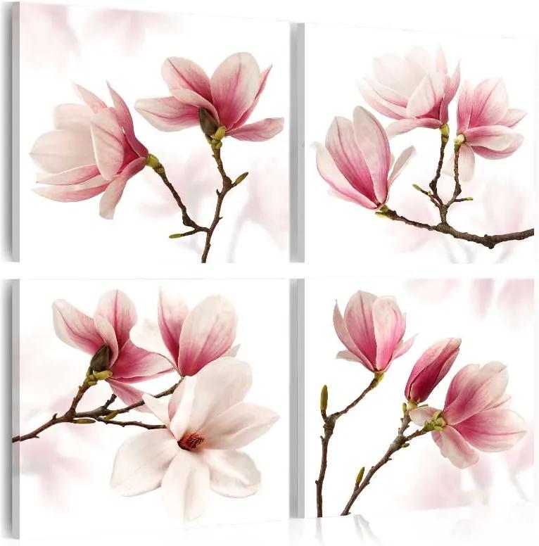 Bimago Obraz na plátně - Romantic Pink 40x40 cm