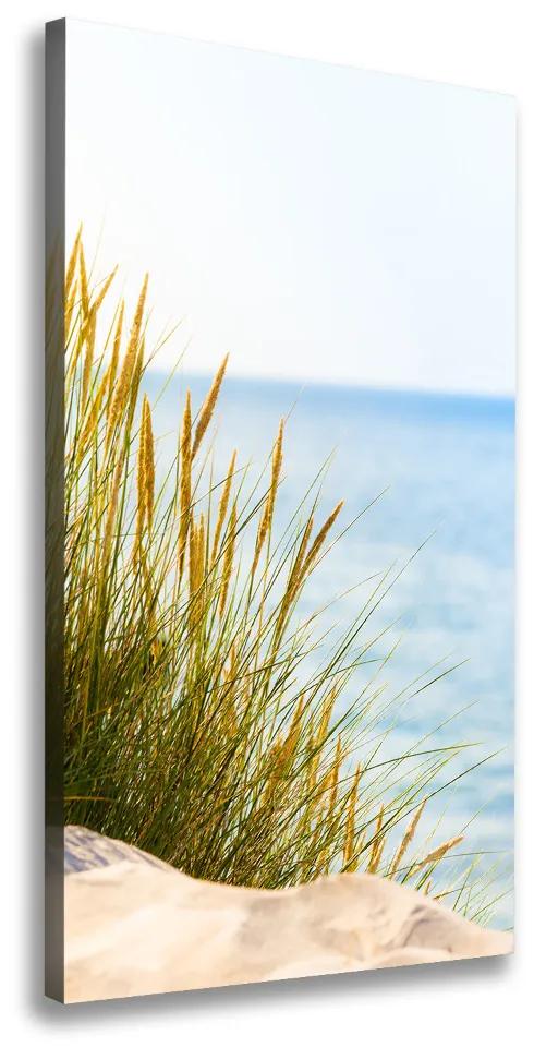 Wallmuralia Vertikální Foto obraz na plátně Mořské duny 50x100