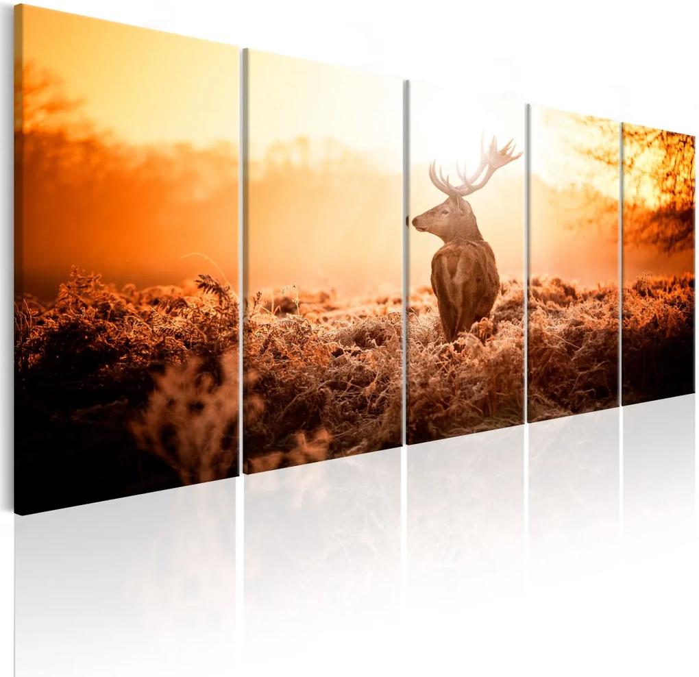 Vícedílný obraz - jelen v západu slunce (150x60 cm) - Murando DeLuxe